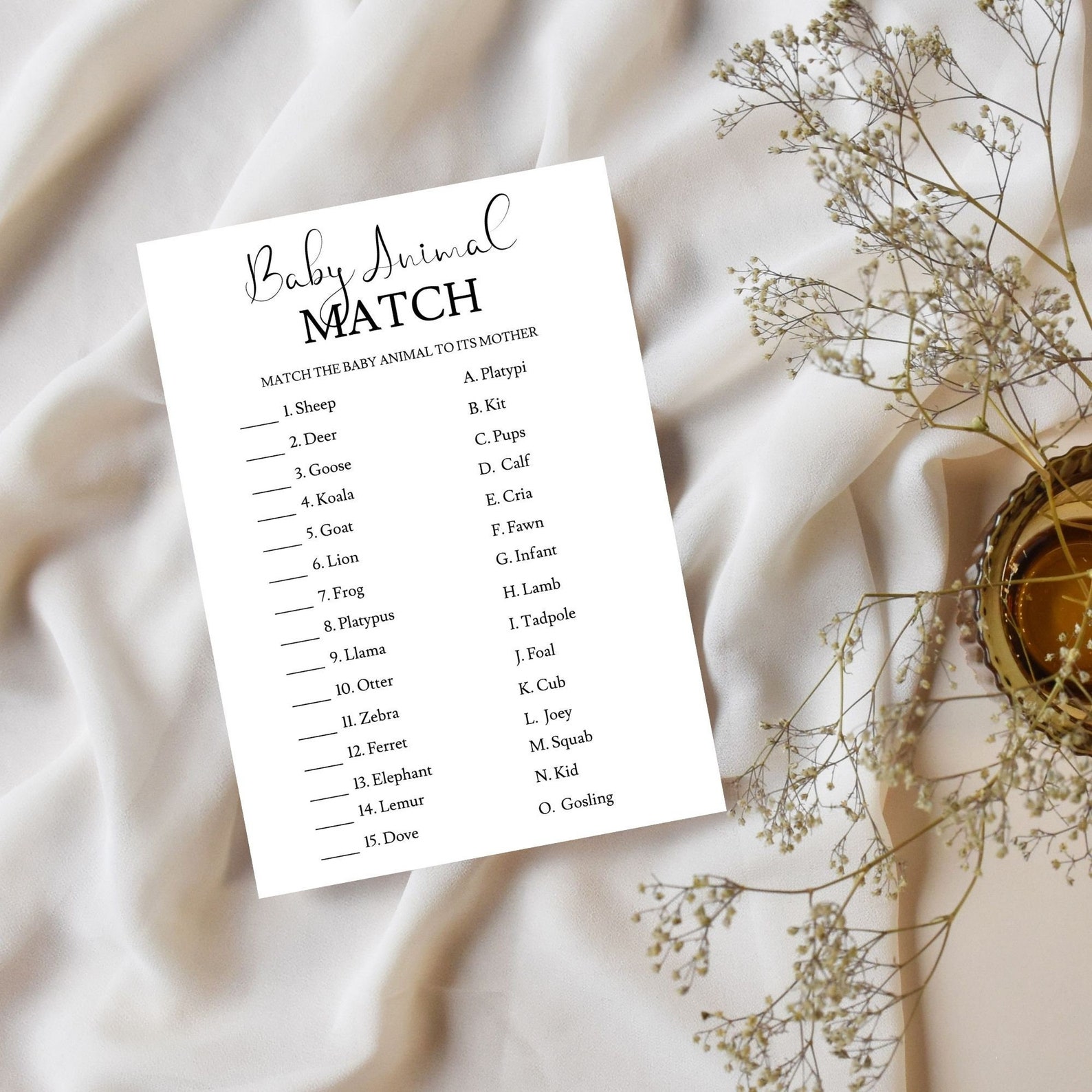 Baby Animal Matching Game, Match the Baby Animal to Its Mother , Baby ...