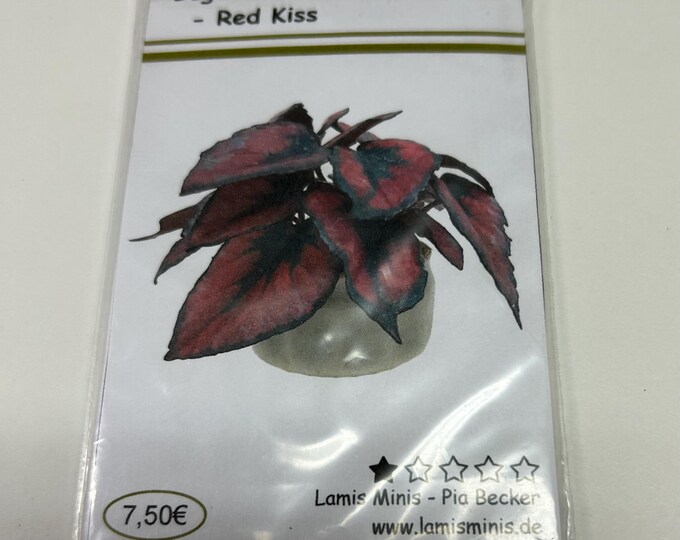 Plant Kit Lamis Minis - BEGONIA REX NIB. Pia Becker - Dollhouse ...