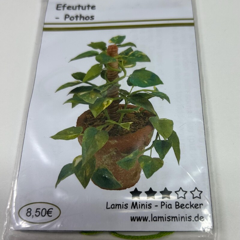 Plant Kit - Etsy