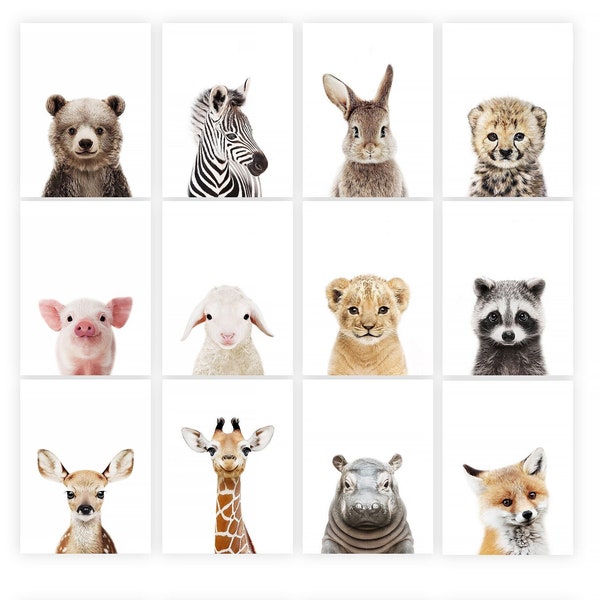 Baby Animals Prints for Nursery - Etsy