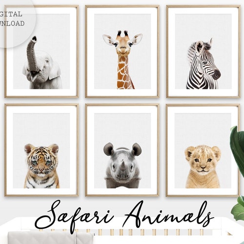 Safari Nursery Prints Set of 6 Jungle Animal Prints Baby - Etsy