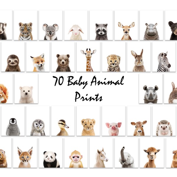 Animal Prints - Etsy UK