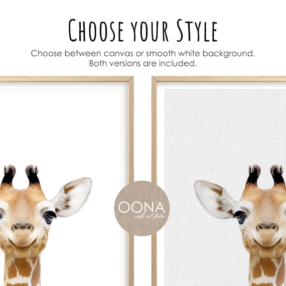Baby Giraffe Print Background