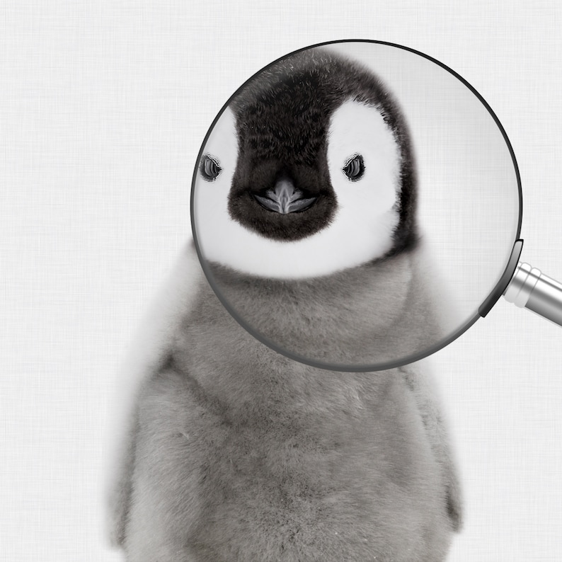 Baby Penguin Print Arctic Nursery Decor PRINTABLE Animal Wall Art ...