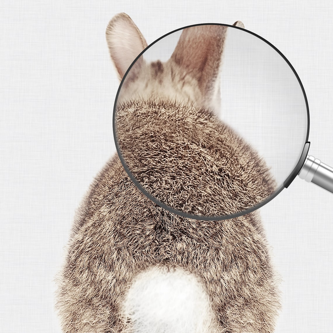 Bunny Rabbit Tail Print Bunny Butt PRINTABLE Nursery Wall Art DIGITAL ...