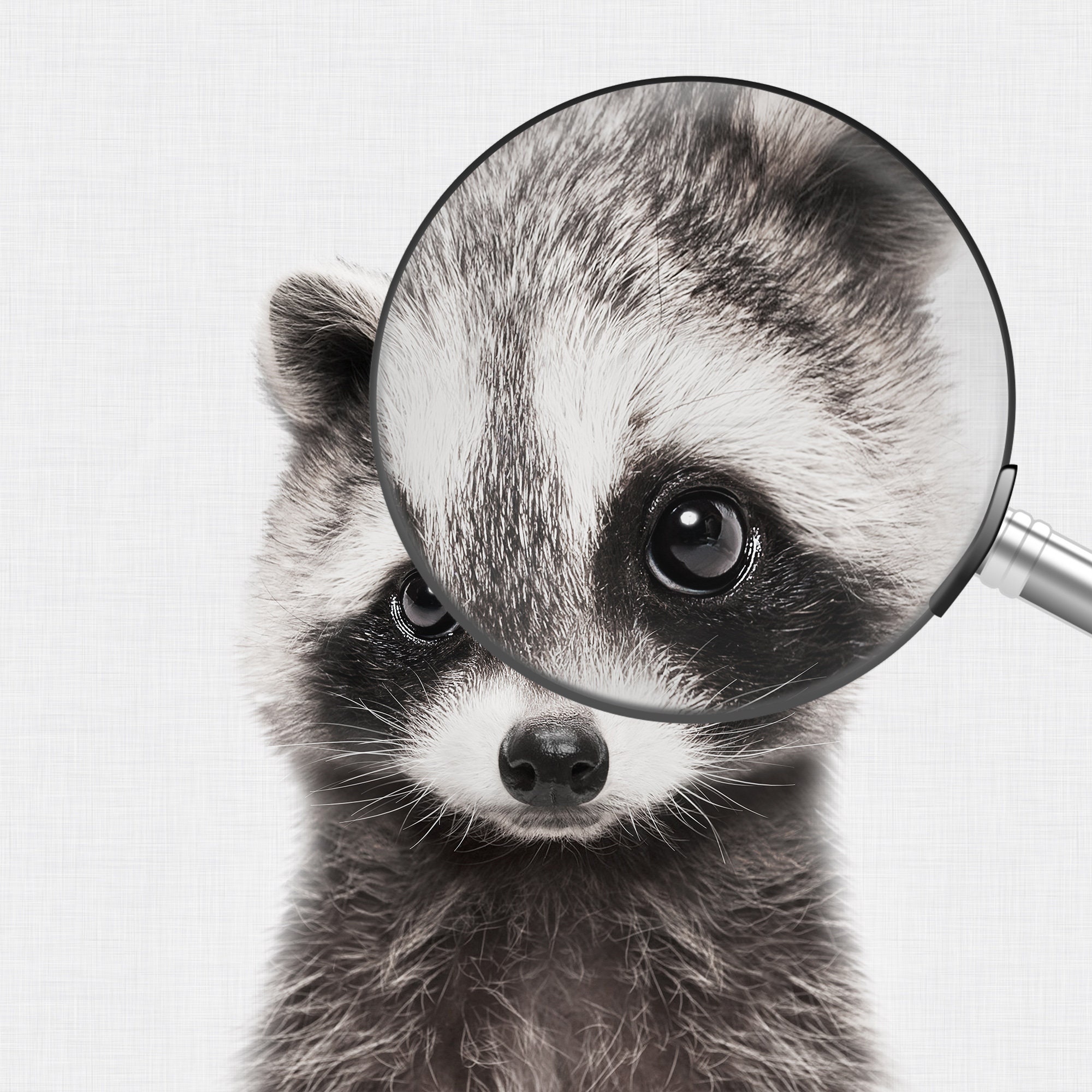 Baby Raccoon Print Woodland Nursery Art PRINTABLE Raccoon Wall - Etsy