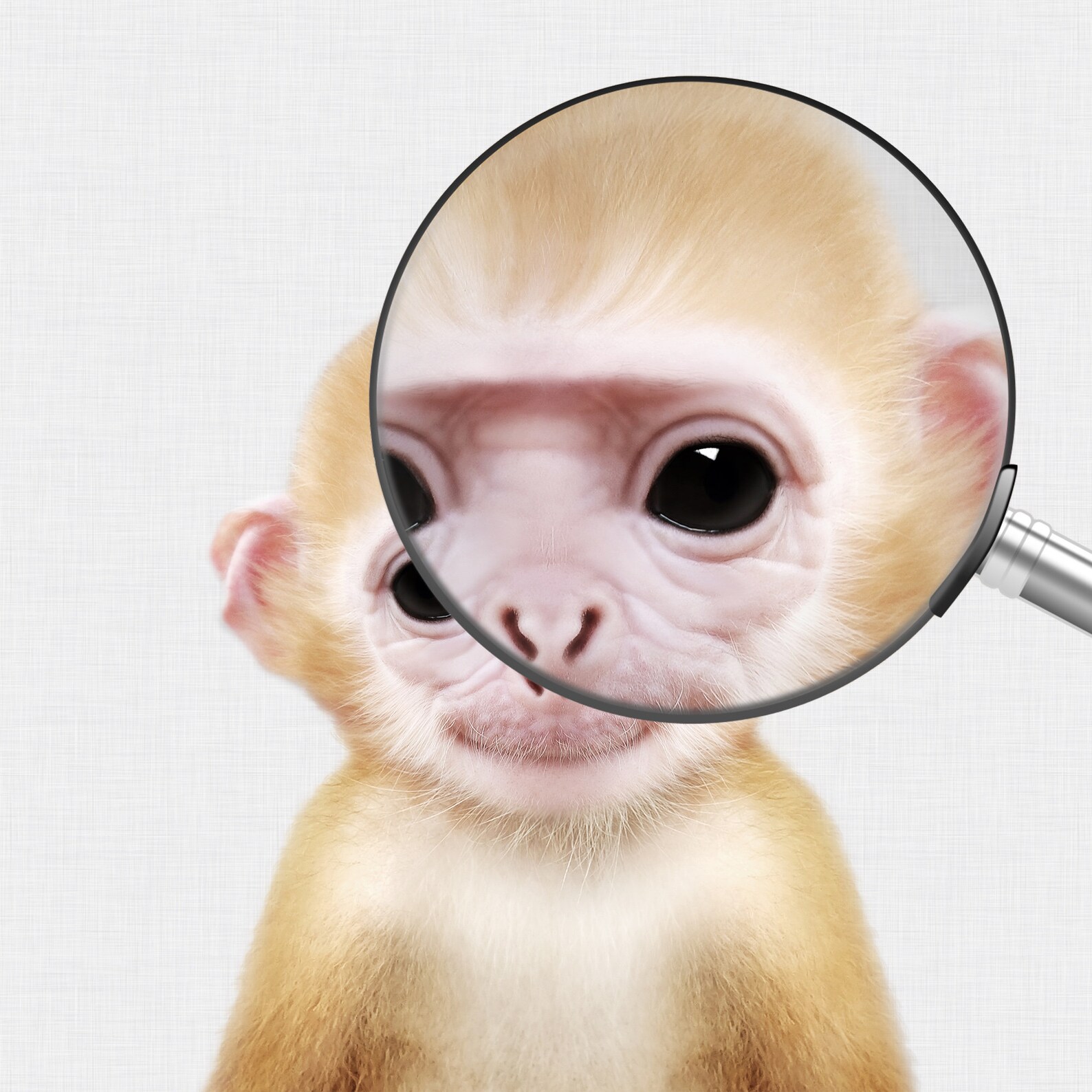 Monkey Print Baby Monkey PRINTABLE Animal Wall Art Monkey Nursery Decor ...