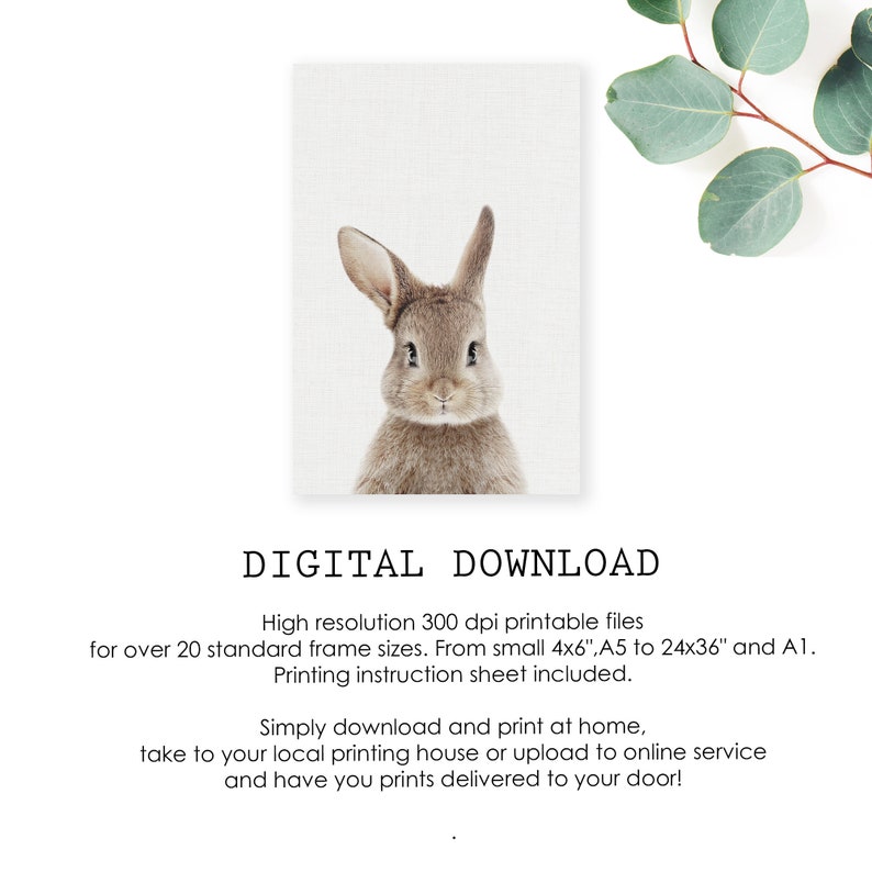 Baby Bunny Print Nursery Artwork Bunny Art Nursery Animals | Etsy