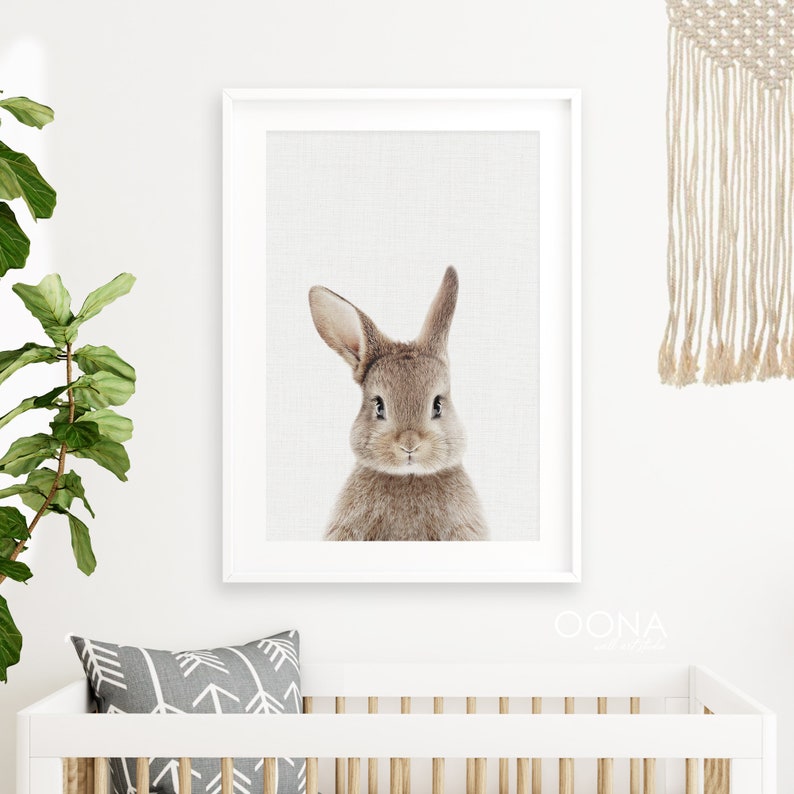 Baby Bunny Print Nursery Artwork Bunny Art Nursery Animals | Etsy