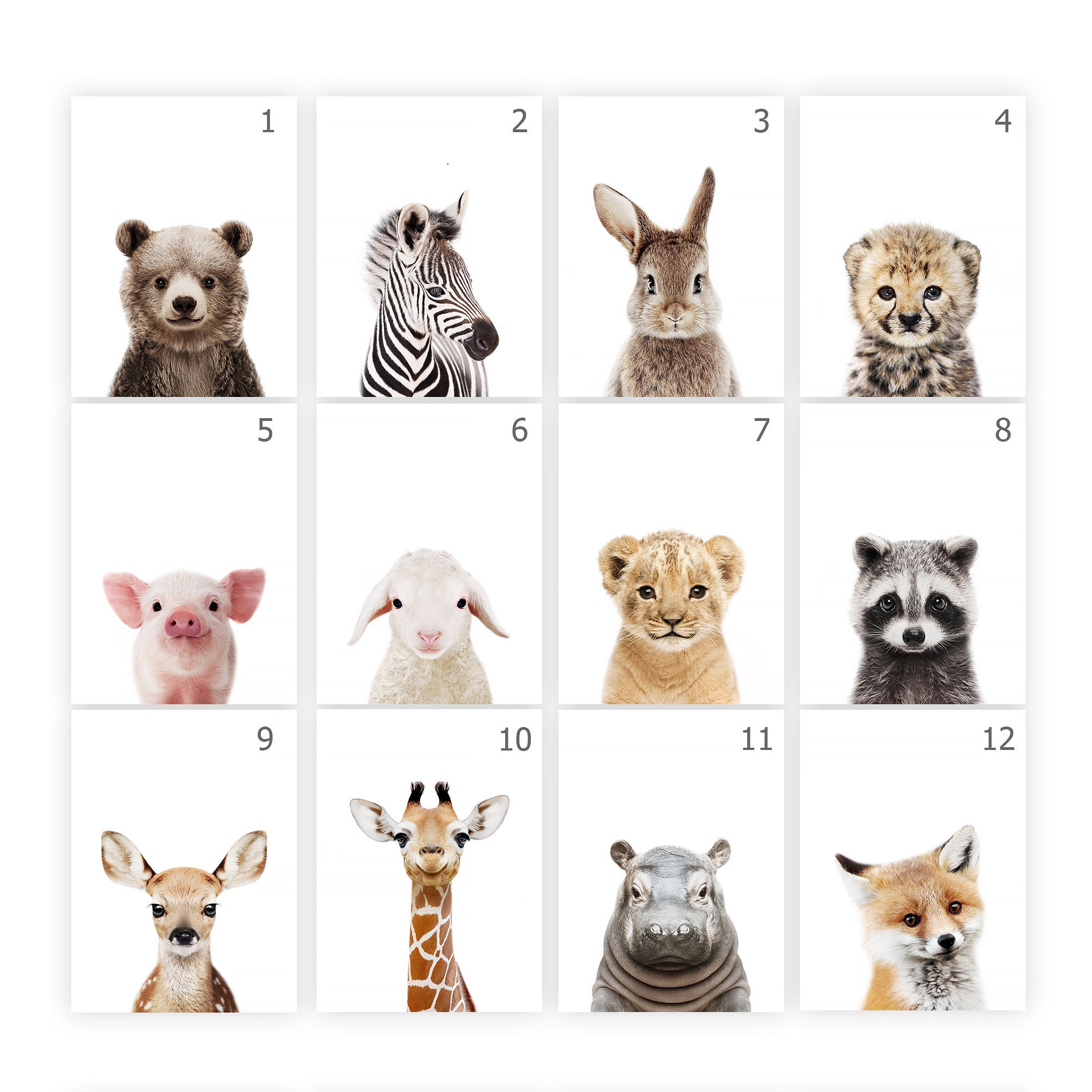 PRINTABLE Baby Animal Prints for Nursery Wall Art Decor Safari - Etsy UK