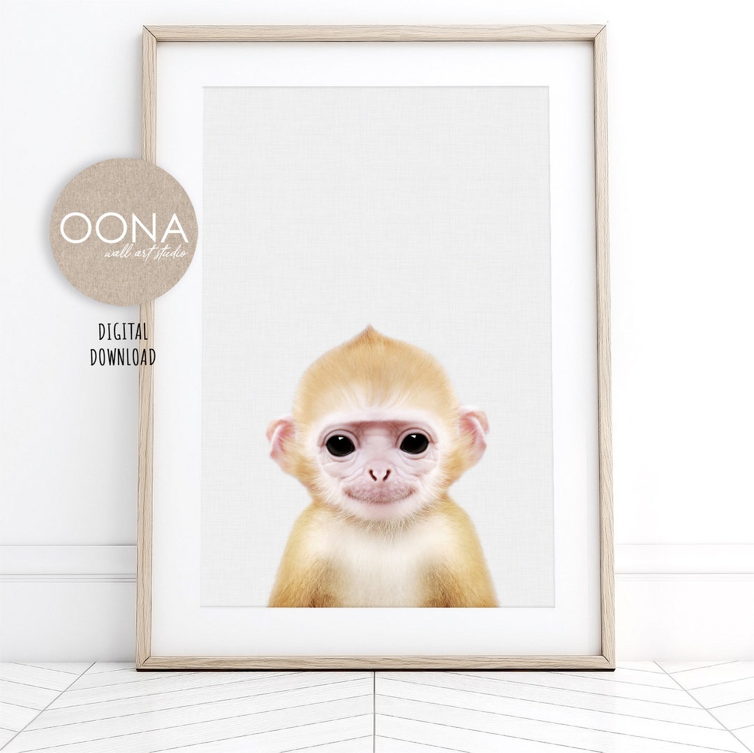 Monkey Print Baby Monkey PRINTABLE Animal Wall Art Monkey Nursery Decor ...