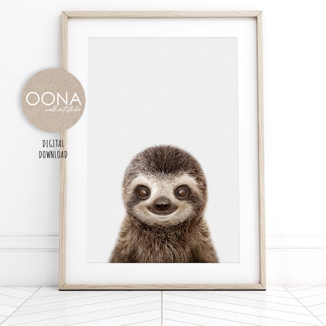 Sloth Print Baby Sloth PRINTABLE Animal Wall Art Jungle Animals Prints ...