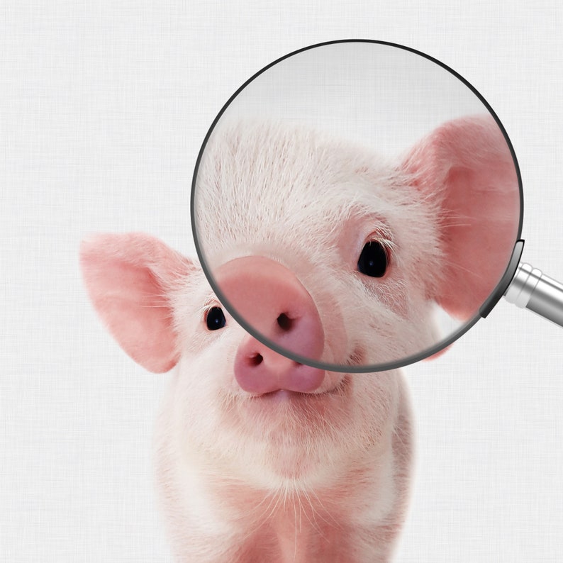 Pig Print Piglet Art Baby Farm Animal Print Pig Wall Art Cute | Etsy