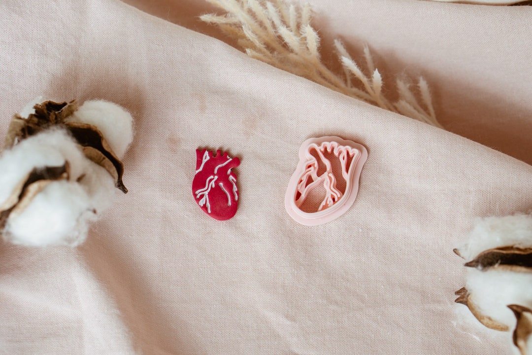 Heart Clay Cutter, Human Anatomy Heart Polymer Clay Cutter, Craft Tools ...