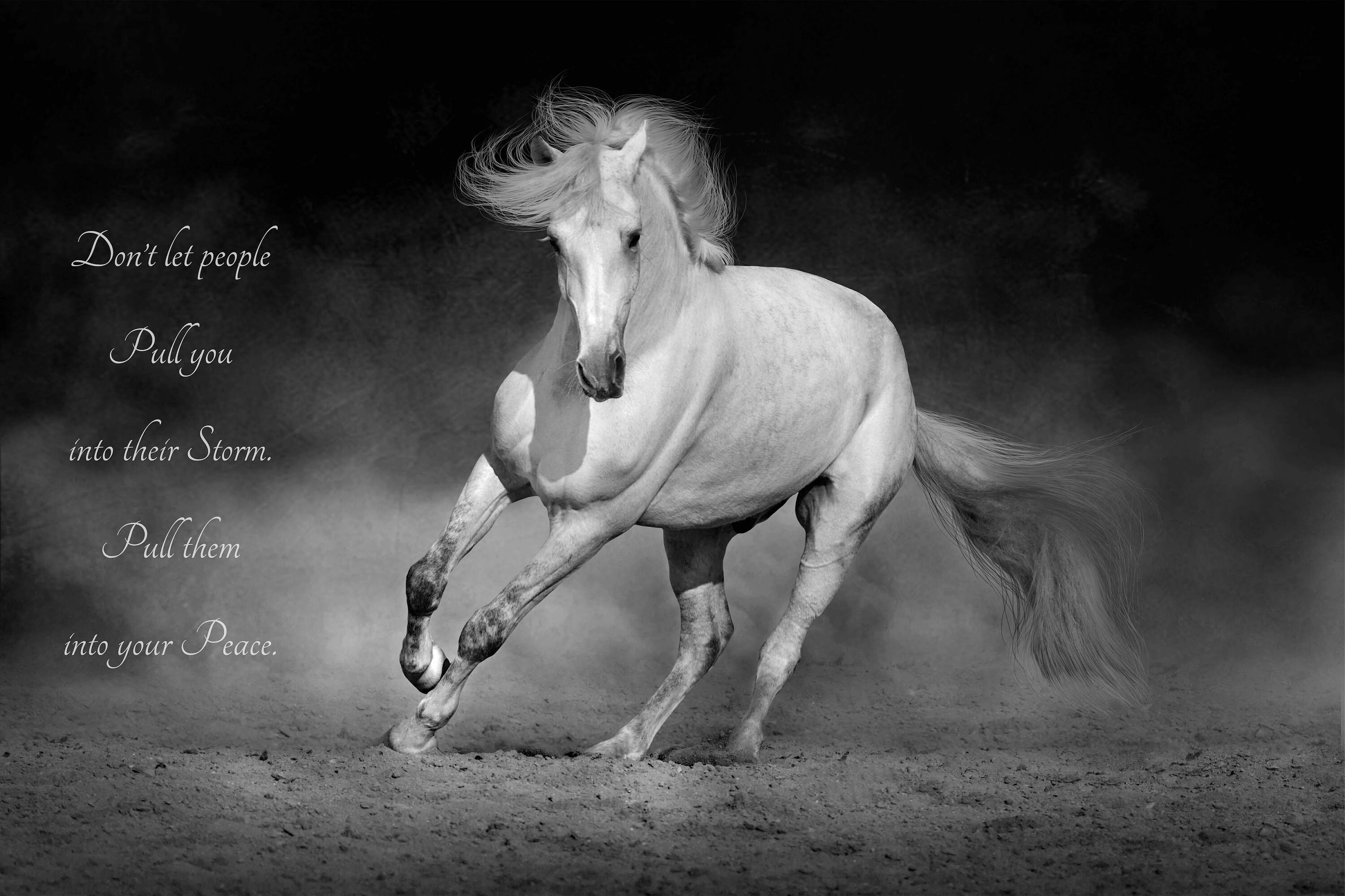 Most Popular Horse Theme Quote Posters - Power Strength Elegant ...