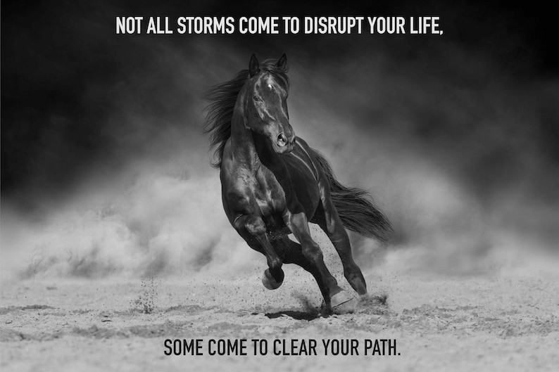 Most Popular Horse Theme Quote Posters - Power Strength Elegant ...