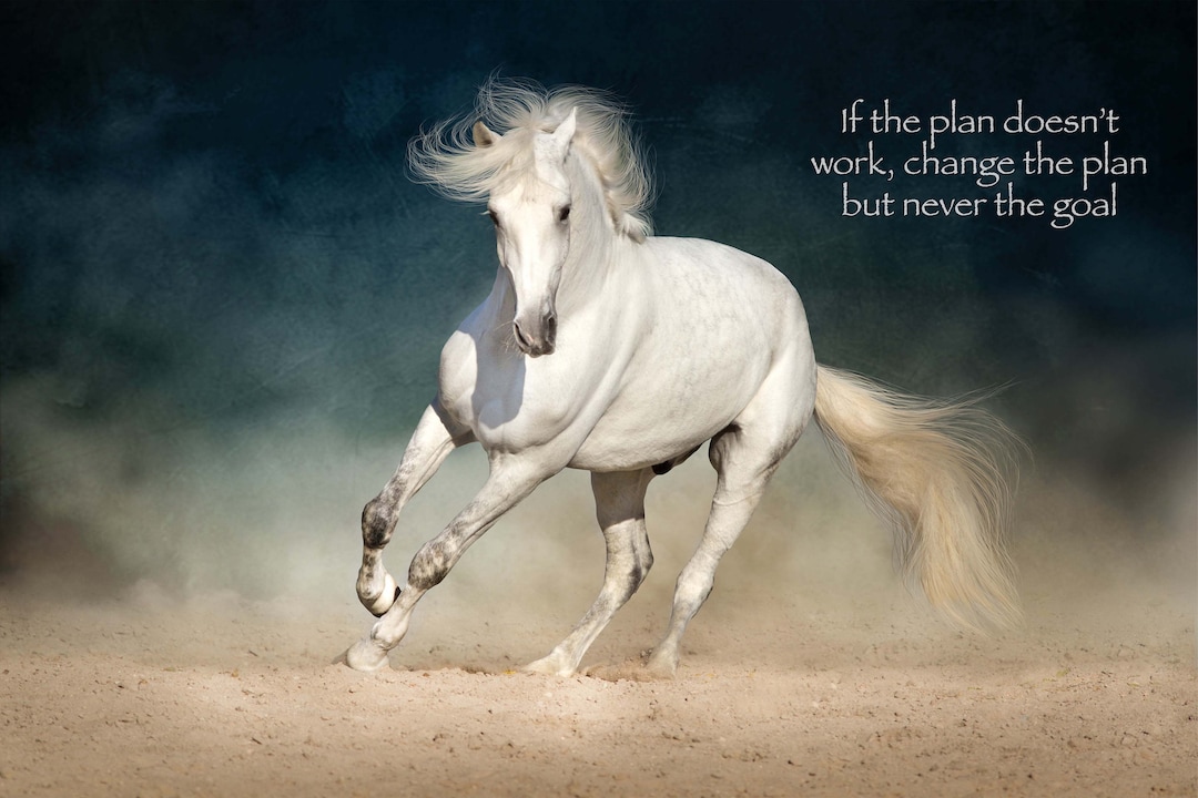 Most Popular Horse Theme Quote Posters - Power Strength Elegant ...