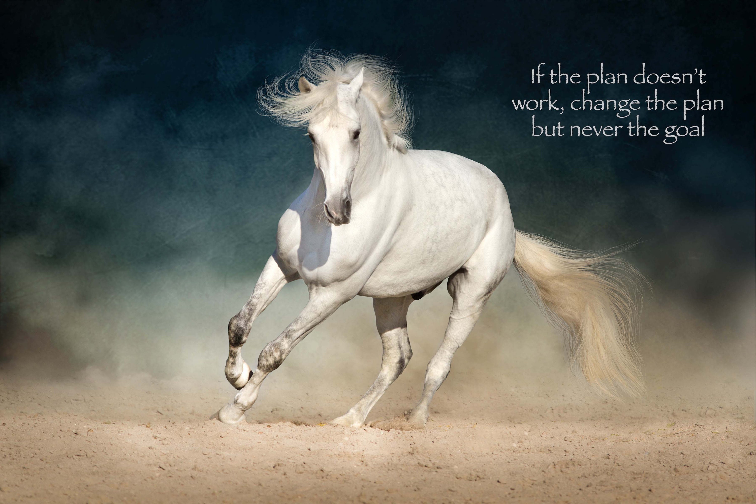 Most Popular Horse Theme Quote Posters - Power Strength Elegant ...