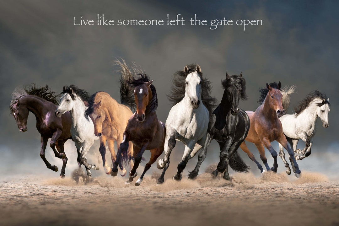 Most Popular Horse Theme Quote Posters - Power Strength Elegant ...