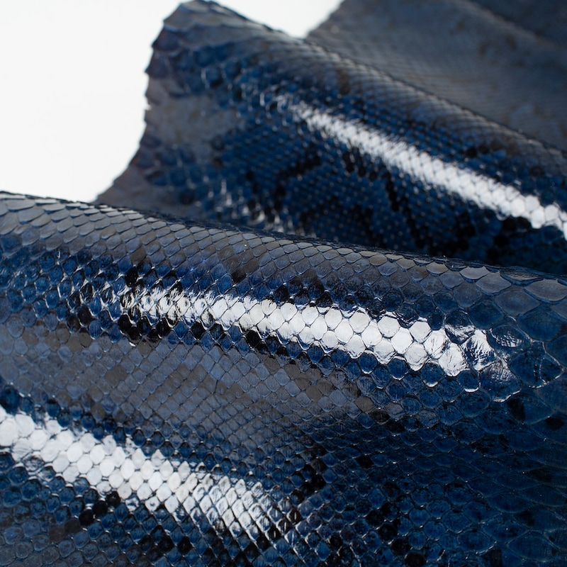 Real Snake Skin - Etsy