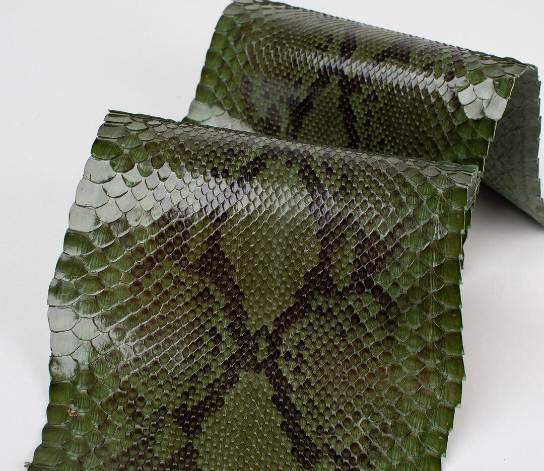 Dark Green Swamp Print ITALIAN Genuine SNAKE AYERS (non Cites) Leather ...