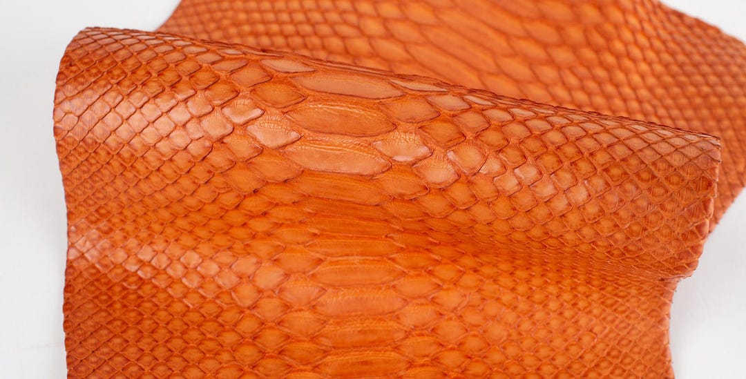 Beige Orange ITALIAN Genuine SNAKE AYERS (non Cites) Leather Skin - Etsy