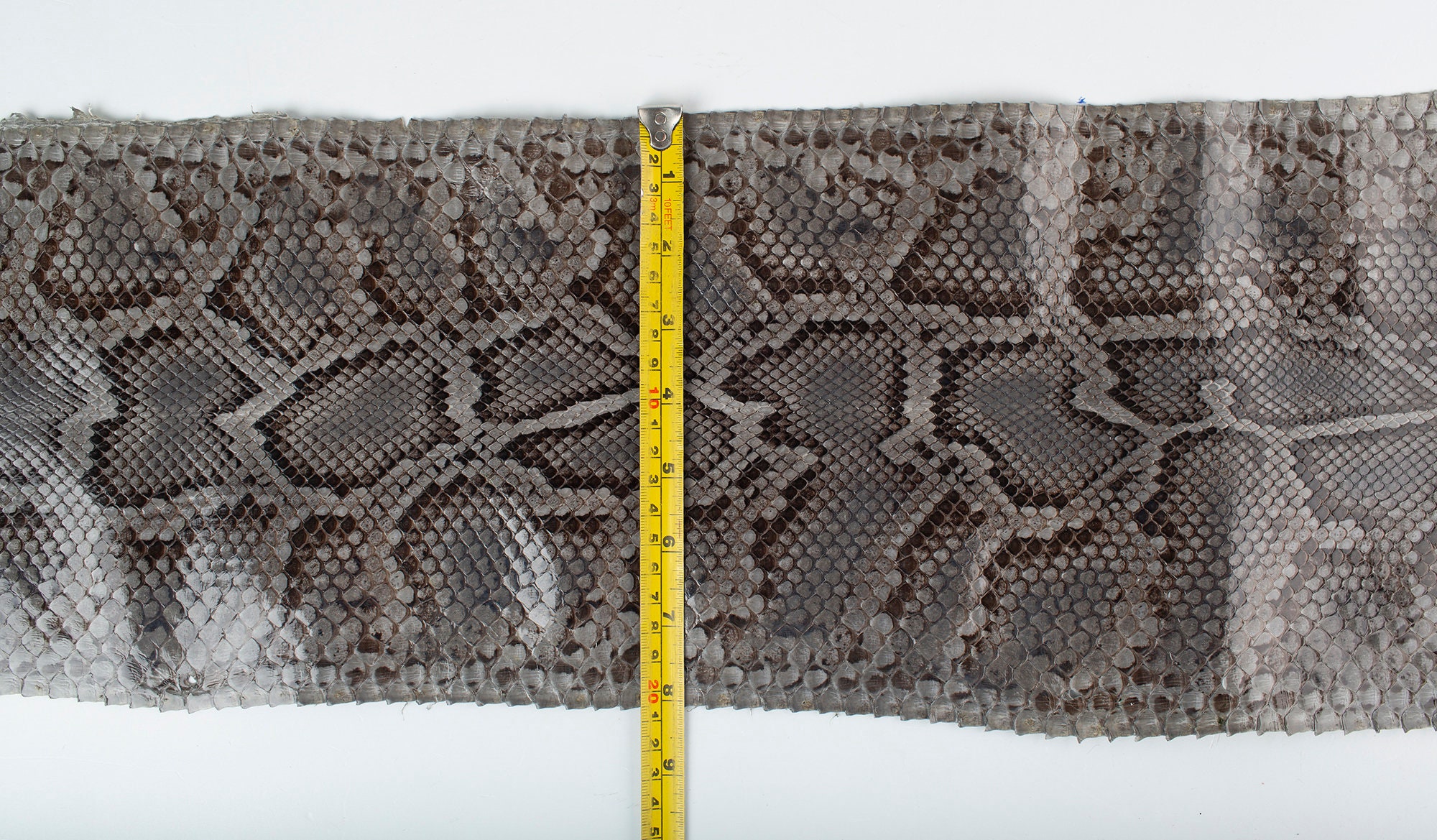 Gray/black Print ITALIAN Genuine SNAKE AYERS non Cites - Etsy