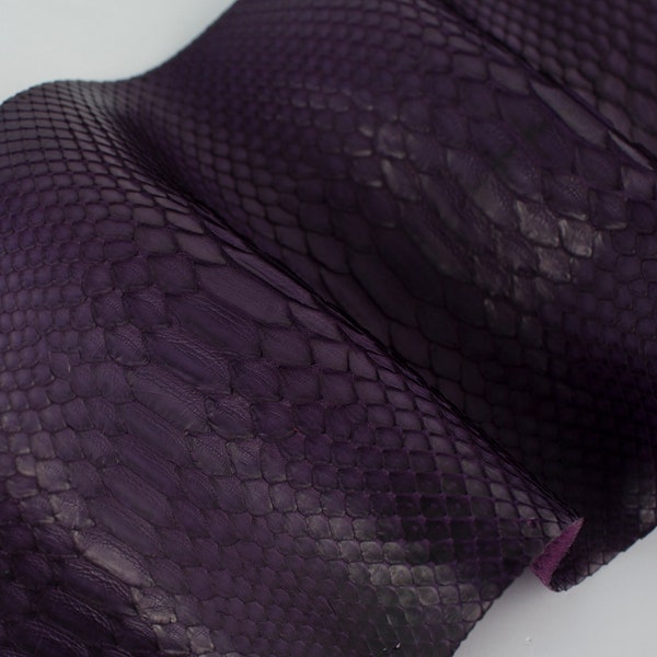 Real Snake Skin - Etsy