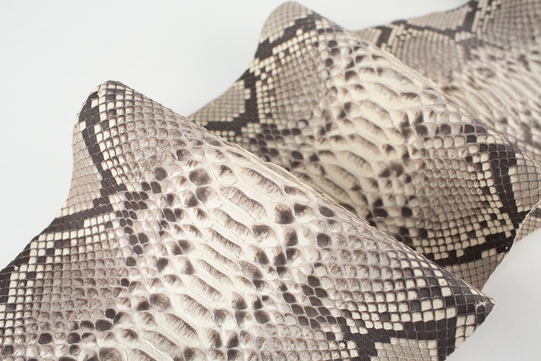 Black/white Print ITALIAN Genuine SNAKE AYERS non Cites Leather Skin - Etsy