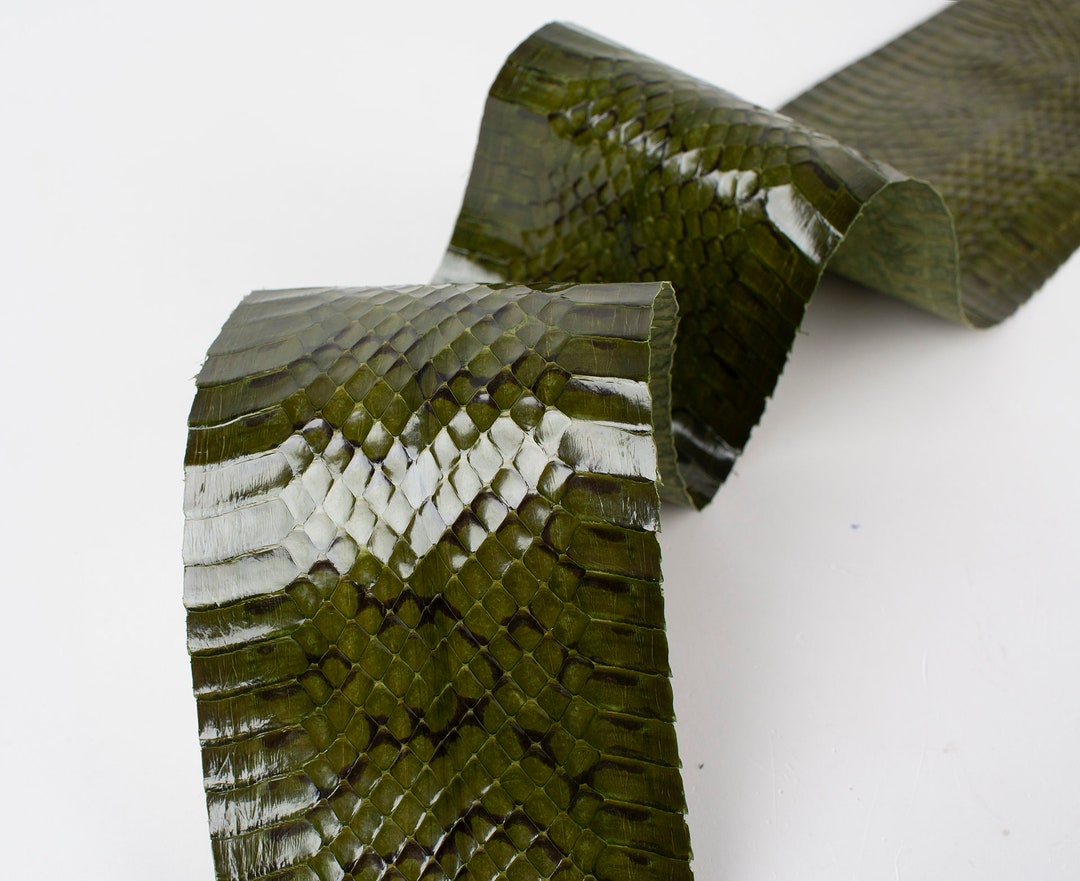Green Swamp Print ITALIAN Genuine SNAKE AYERS (non Cites) Leather ...
