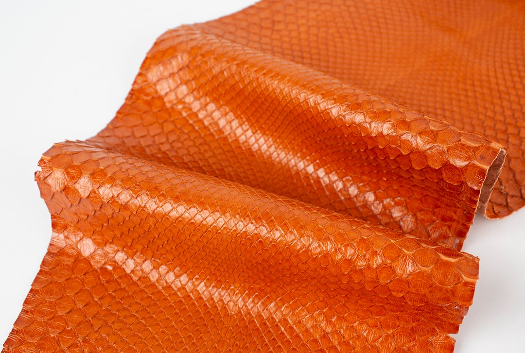 Orange Brown ITALIAN Genuine SNAKE AYERS (non Cites) Leather Skin ...