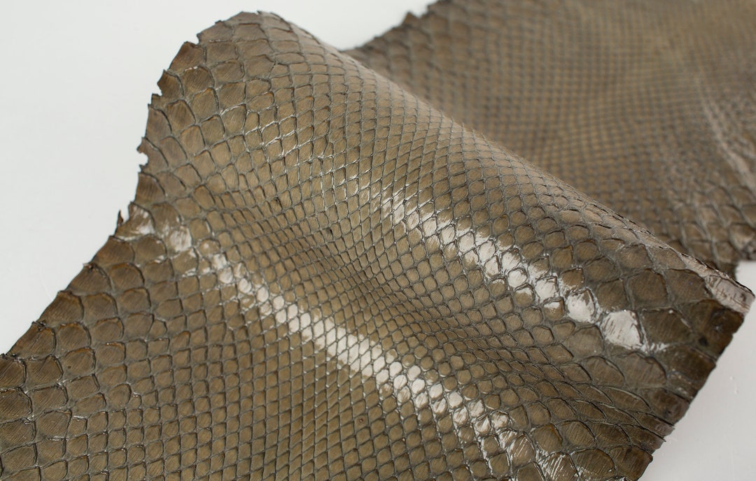 Green Oliva ITALIAN Genuine SNAKE AYERS (non Cites) Leather Glossy Skin ...