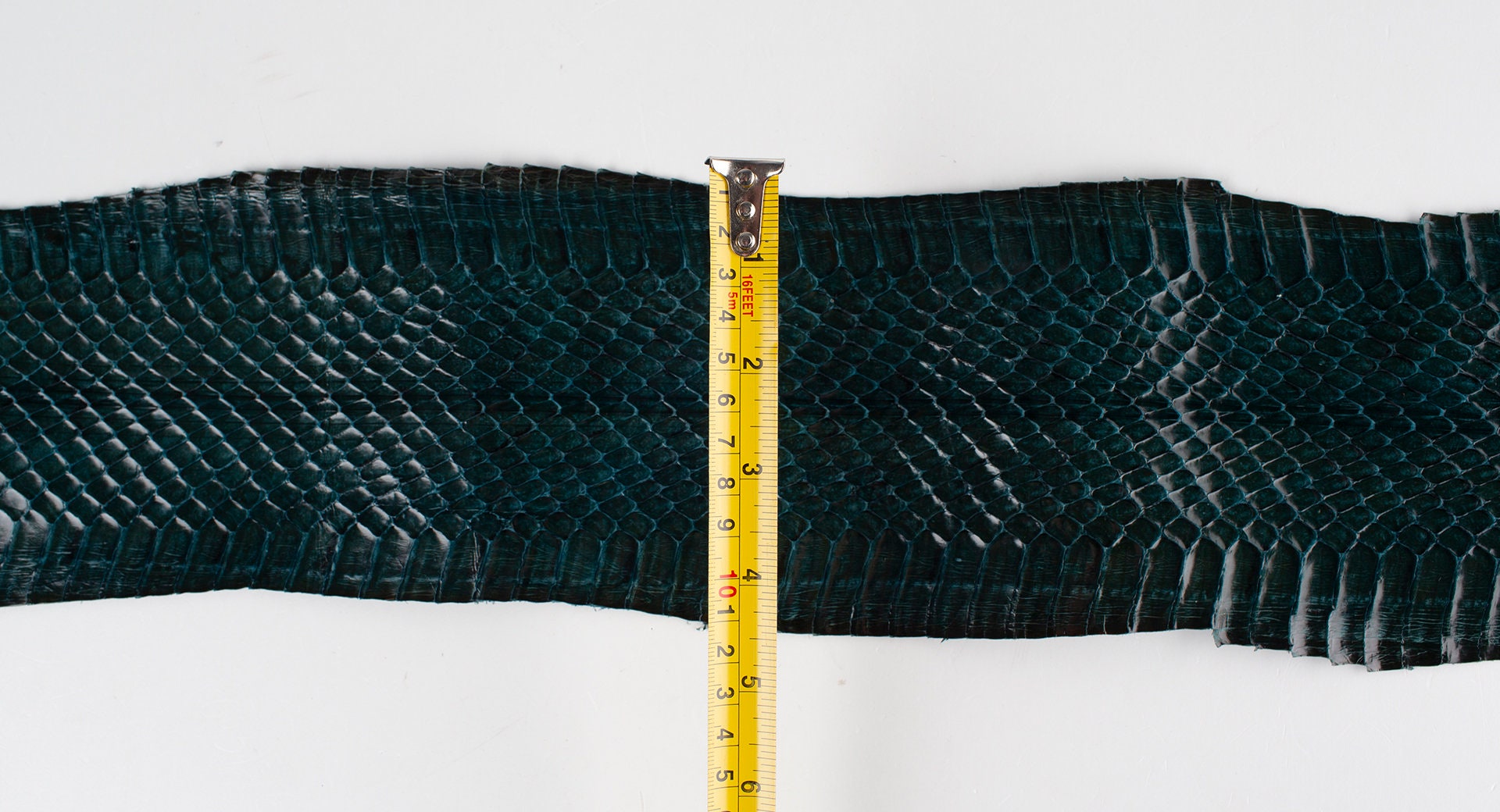 Green Sea Wave Print ITALIAN Genuine SNAKE AYERS non Cites Leather ...