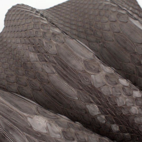 Real Snake Skin - Etsy