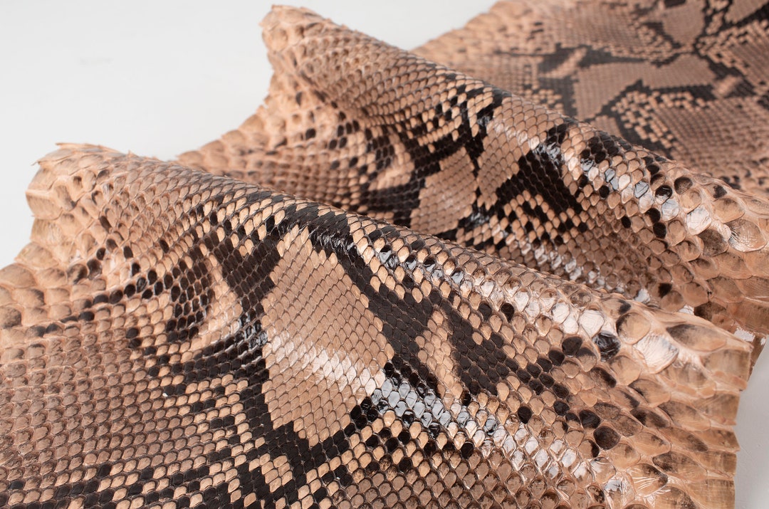 Pink/black Print ITALIAN Genuine SNAKE AYERS non Cites - Etsy