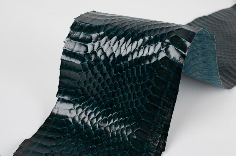 Green Sea Wave Print ITALIAN Genuine SNAKE AYERS non Cites Leather ...