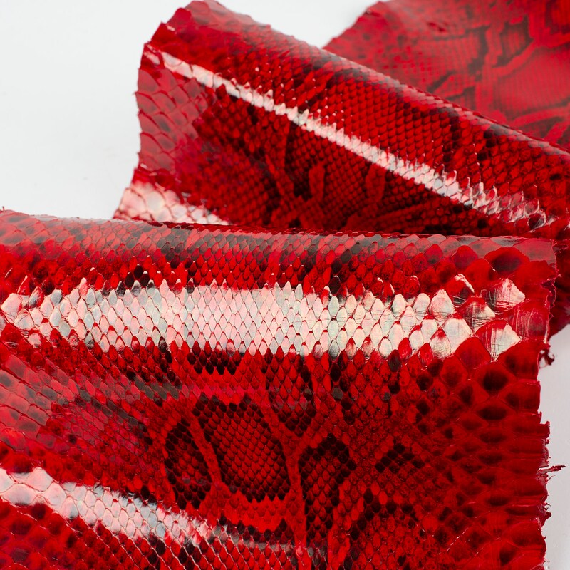Real Snake Skin - Etsy