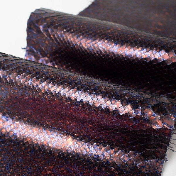 Real Snake Skin - Etsy