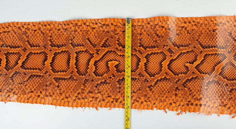 Orange/black Print ITALIAN Genuine SNAKE AYERS non Cites - Etsy