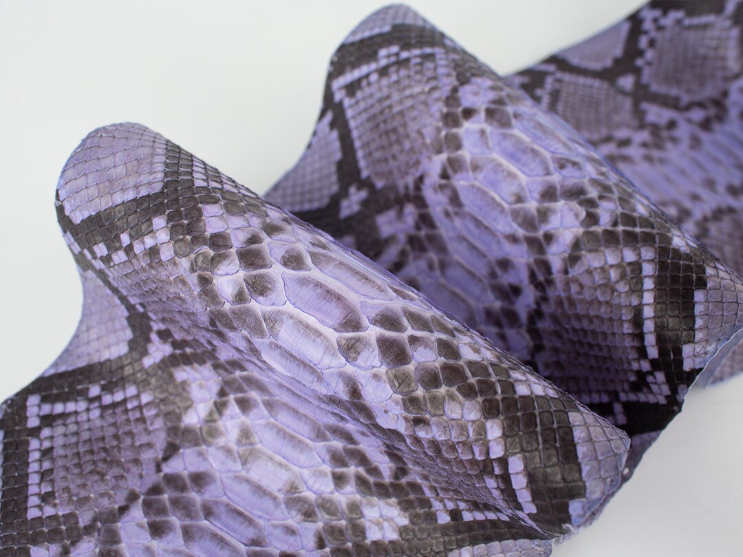 Light Violet ITALIAN Genuine SNAKE AYERS non Cites Leather - Etsy Sweden