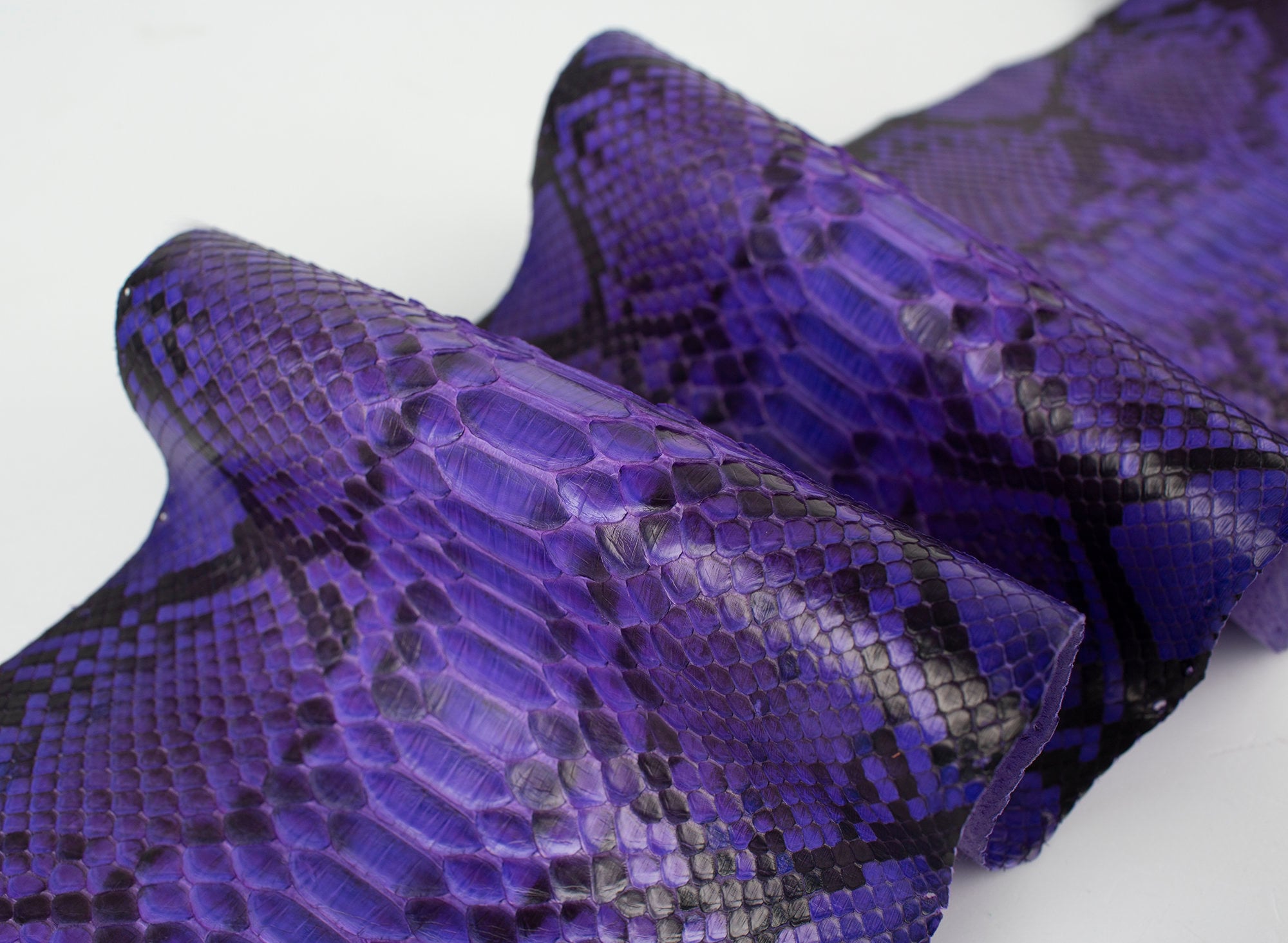 Violet Print ITALIAN Genuine SNAKE AYERS non Cites Leather Skin - Etsy