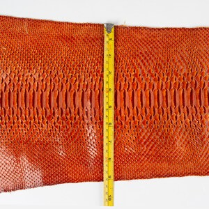 Dark Orange ITALIAN Genuine SNAKE AYERS (non Cites) Leather Glossy Skin ...