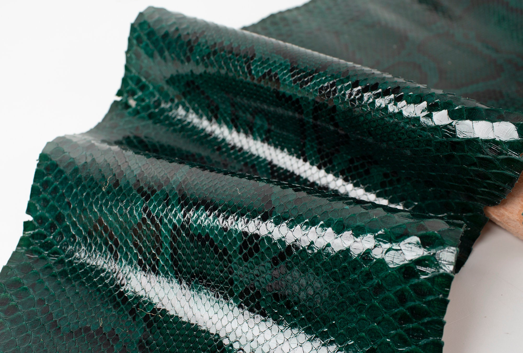 Dark Green Print ITALIAN Genuine SNAKE AYERS non Cites Leather Glossy ...