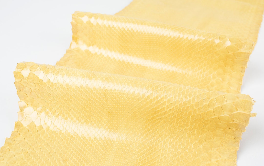 Yellow ITALIAN Genuine SNAKE AYERS (non Cites) Leather Glossy Skin - Etsy
