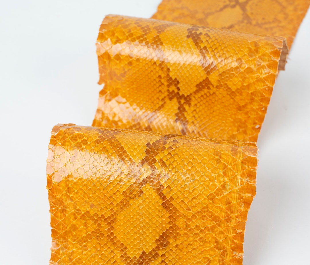 Orange Print ITALIAN Genuine SNAKE AYERS (non Cites) Leather Glossy ...