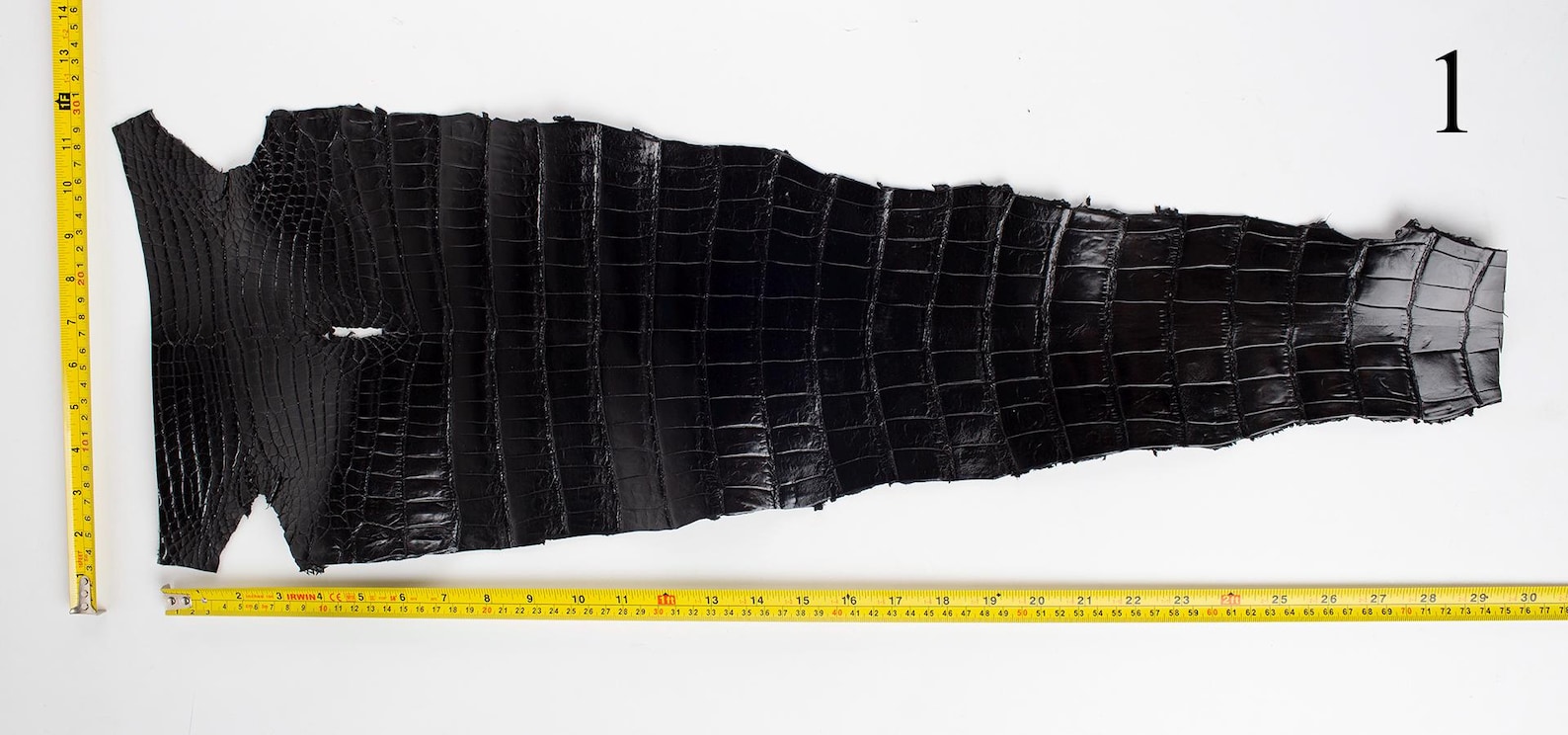 Black Genuine Real REPTILE Tail Leather (non Cites) Glossy Scraps - Etsy