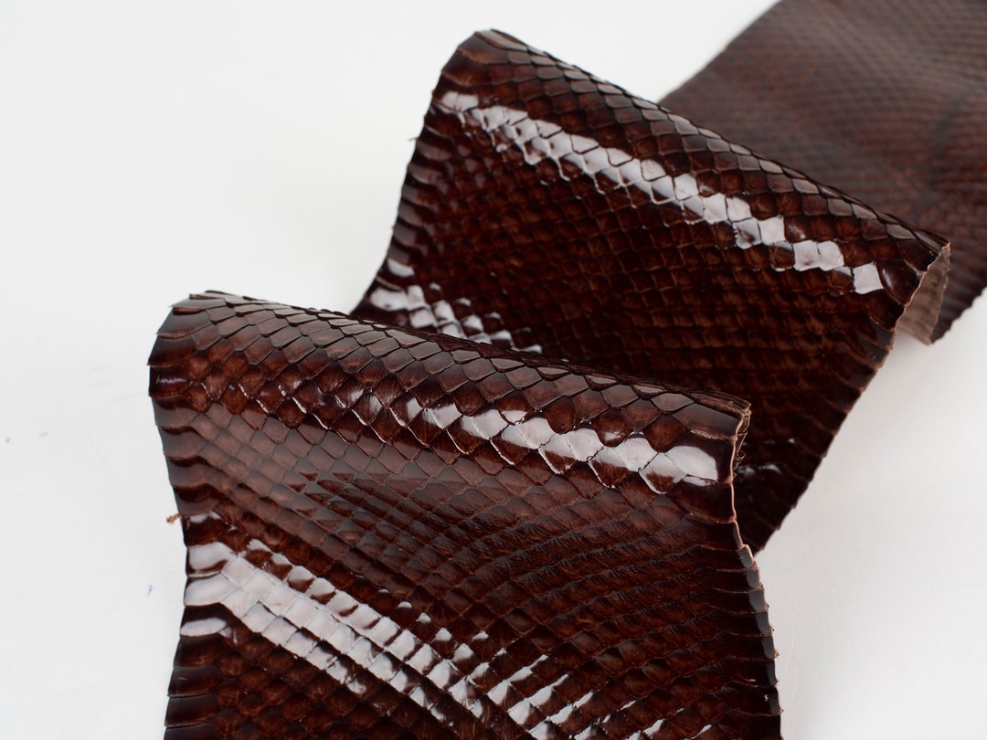 Dark Brown Print ITALIAN Genuine SNAKE AYERS (non Cites) Leather Glossy ...