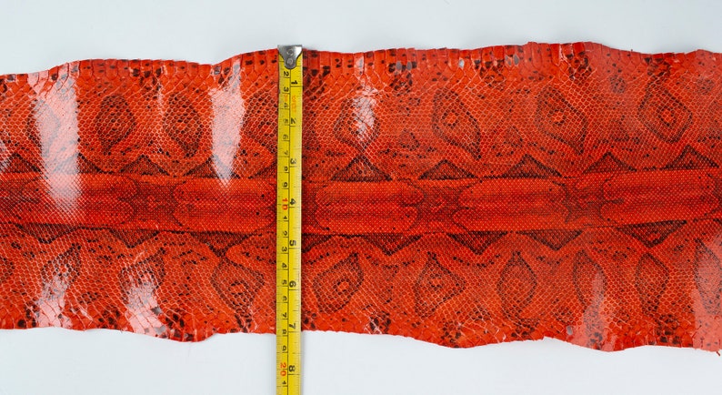 Red Print ITALIAN Genuine SNAKE AYERS non Cites Leather - Etsy