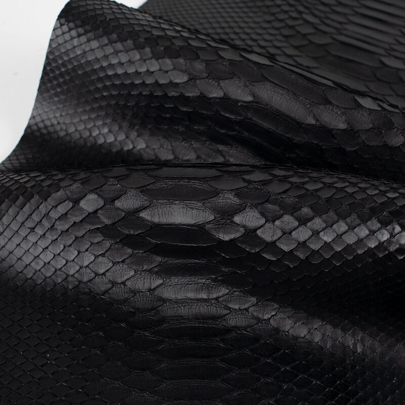 Real Snake Skin - Etsy