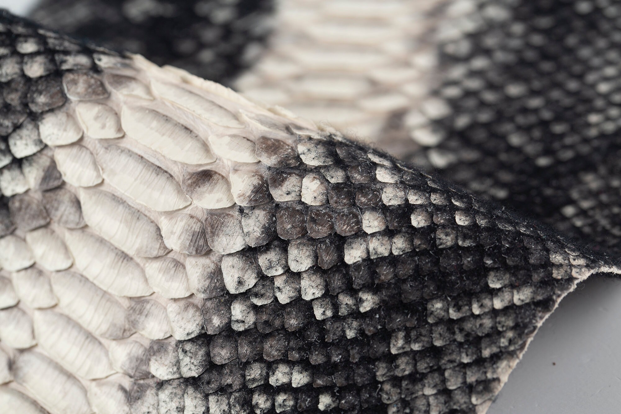 Black/white in Combination With Fur Print ITALIAN Genuine SNAKE AYERS ...